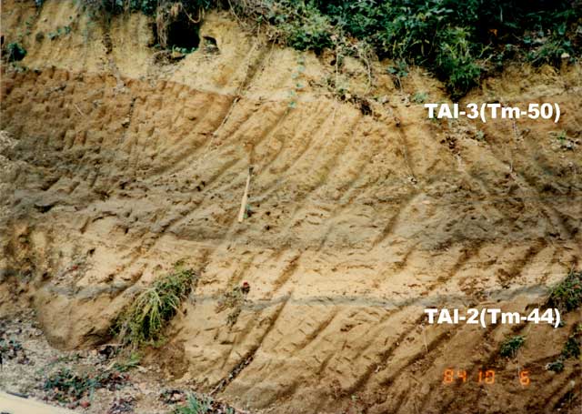 神奈川県平塚市土屋
