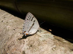 Top画面 | 収蔵資料検索システム