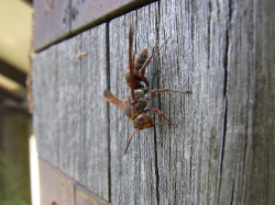 Top画面 | 収蔵資料検索システム