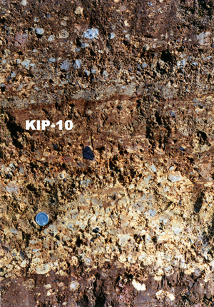 箱根火山テフラデータベース:新期山体の形成：Hk-KlP10(S)